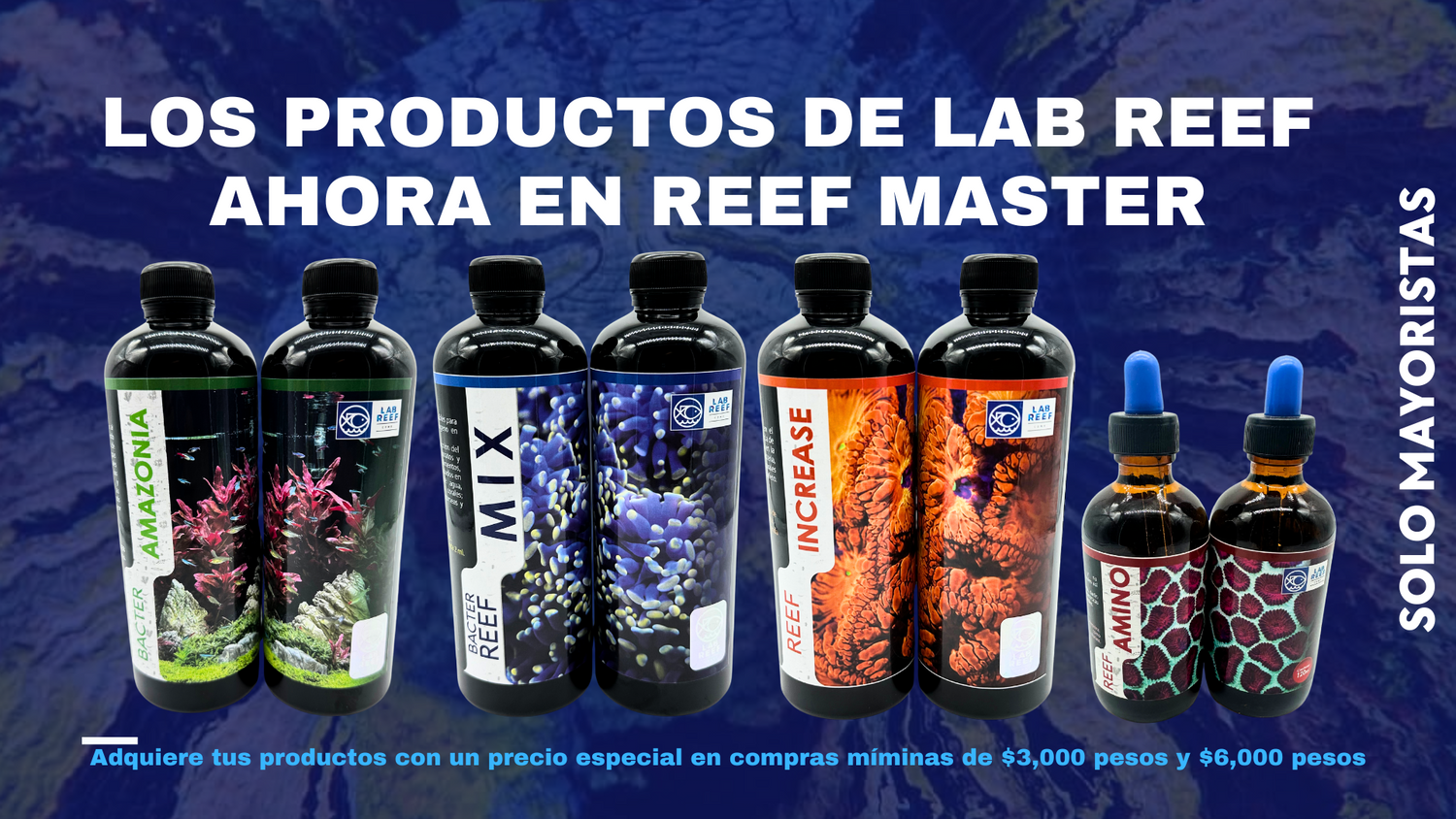 Reef Master México